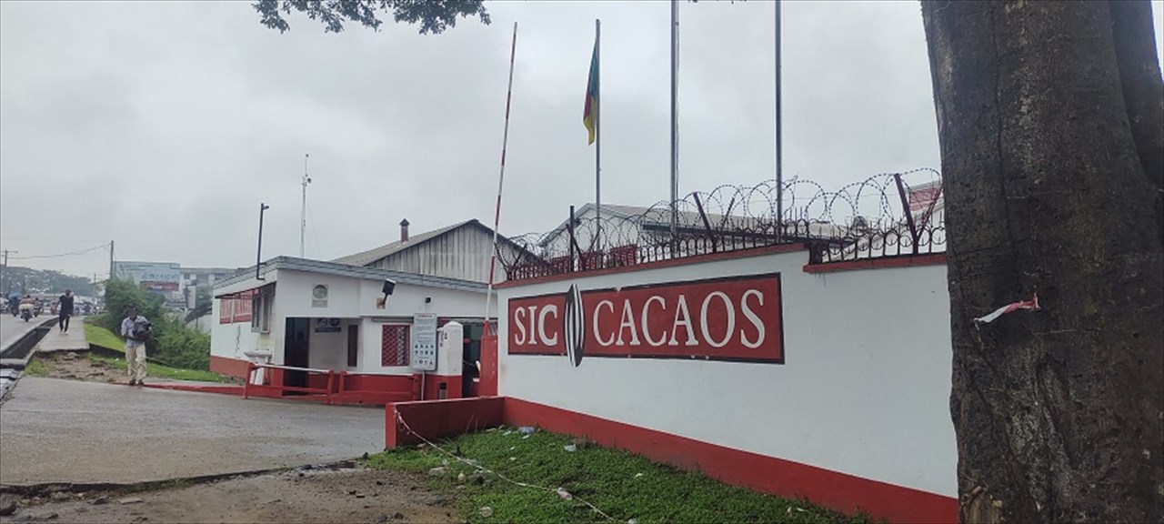 Cameroun : SIC Cacaos (filiale de Barry Callebaut) porte son capital de ...